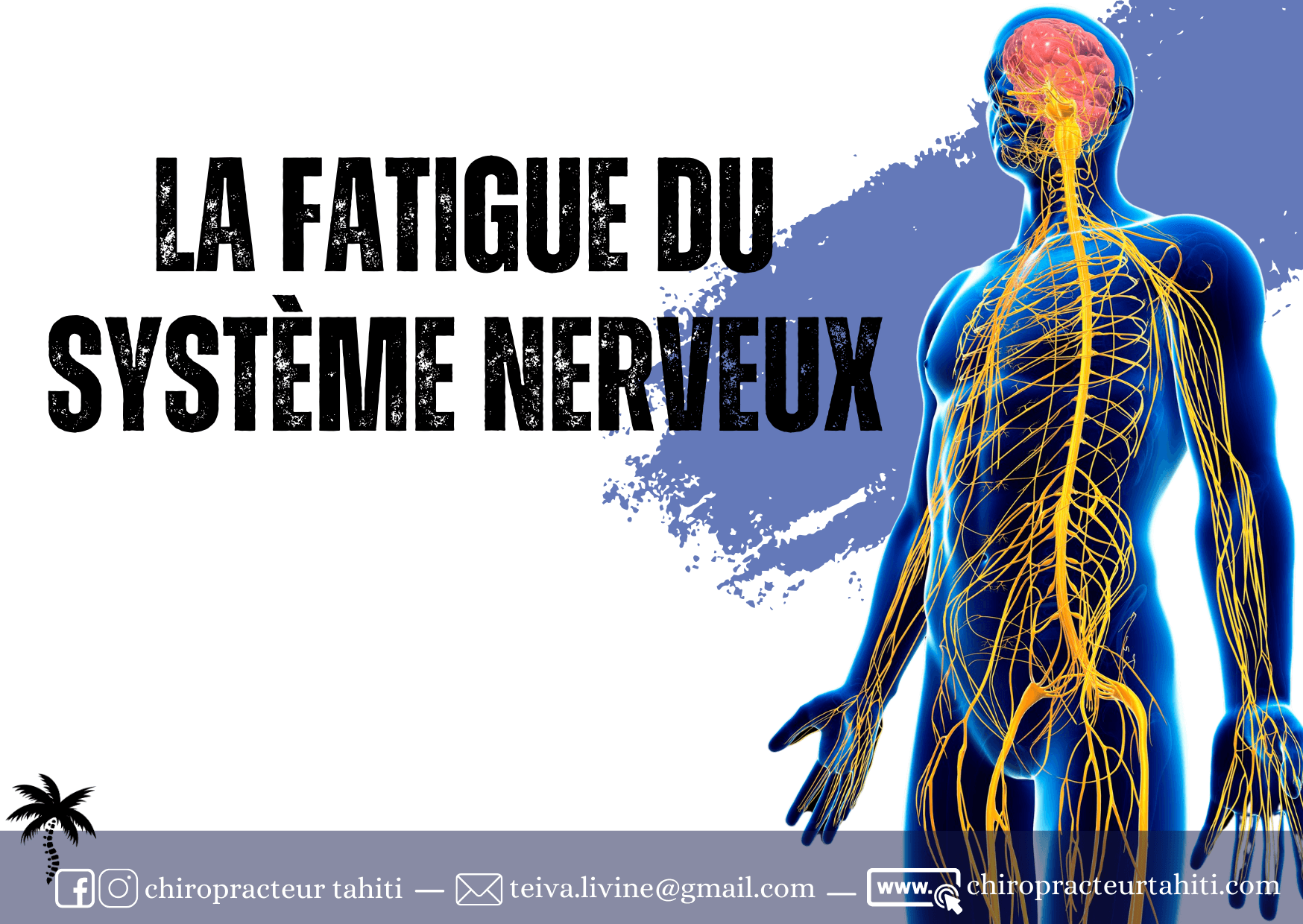 La fatigue du système nerveux